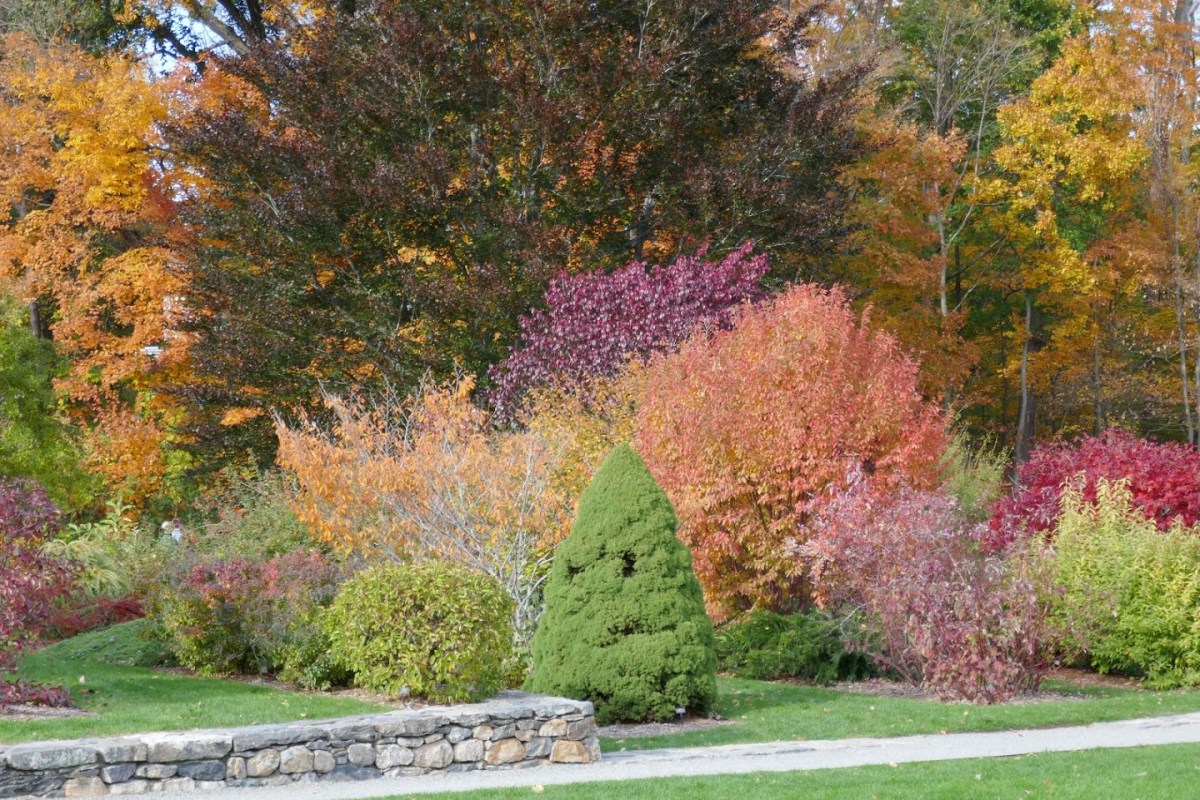 NESW members tour “living museum” | New England Science Writers